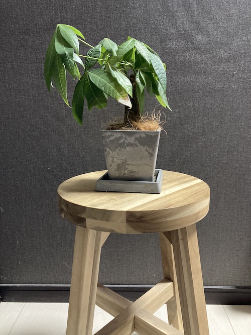 IKEAのスツールSKOGSTA（スコグスタ）が大活躍している件について – えりかの家